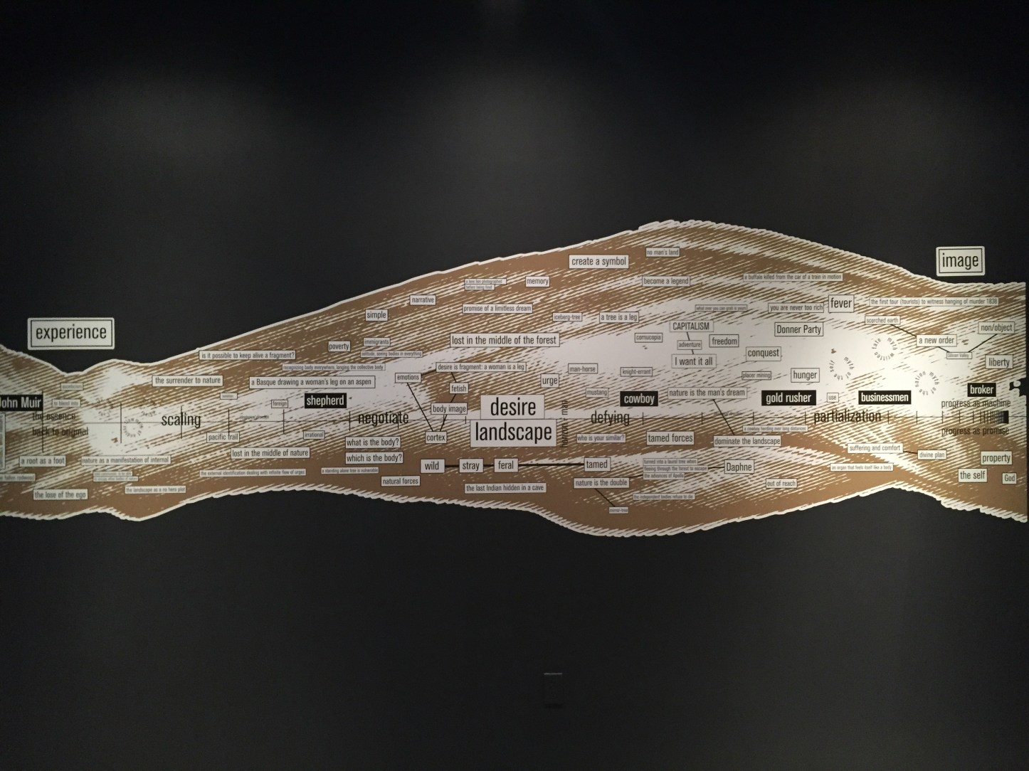 The Fallen Tree, an exhibition by Mexican artist Erick Beltrán at the ...