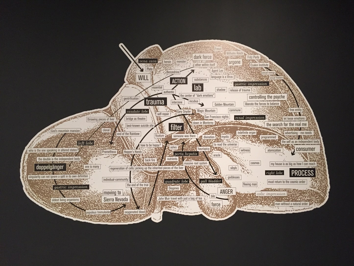 The Fallen Tree, an exhibition by Mexican artist Erick Beltrán at the ...