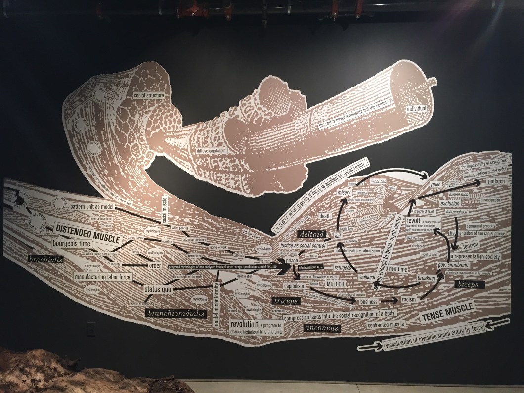 The Fallen Tree, an exhibition by Mexican artist Erick Beltrán at the ...